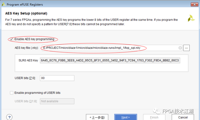 efuse 加密文件 linux,Xilinx FPGA bit 文件加密-CSDN博客