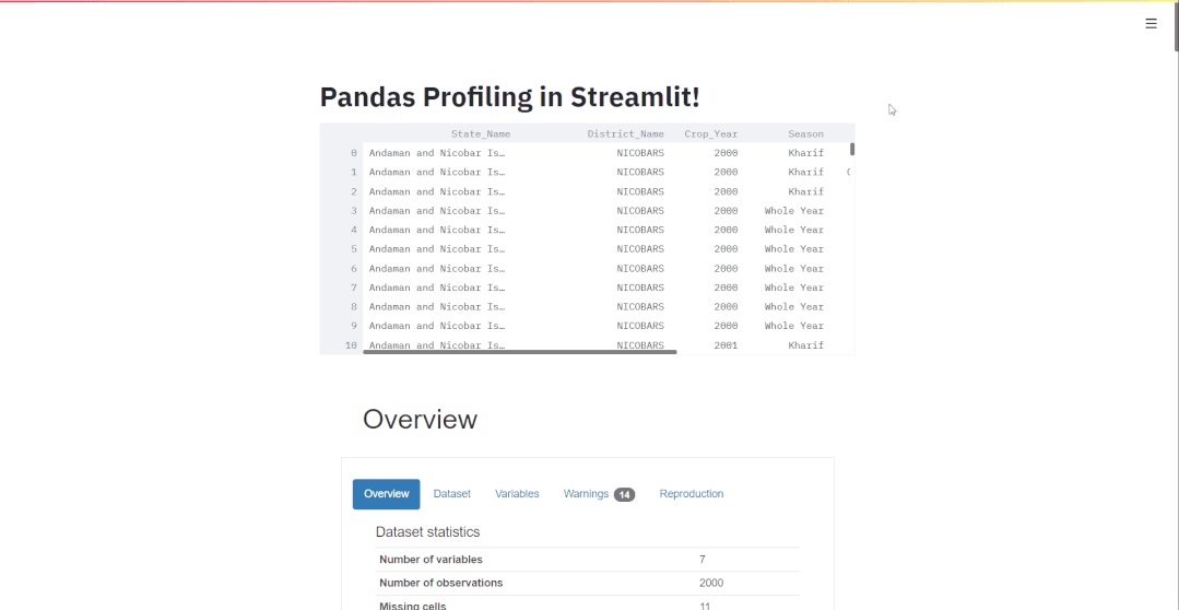 【Python】Pandas profiling 生成报告并部署的一站式解决方案-CSDN博客