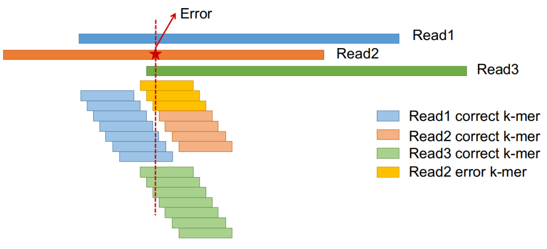 如何判断基因组的重复区域_关于kmer与基因组（组装）的那些事-CSDN博客