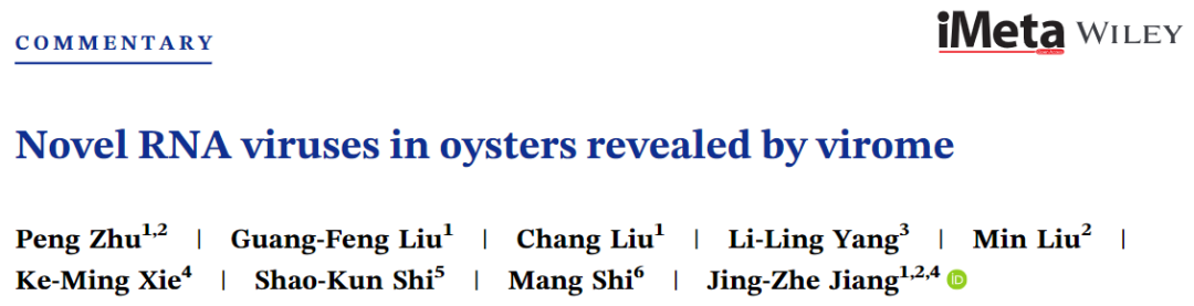 iMeta | 水科院南海所姜敬哲/中大施莽利用病毒组揭示的牡蛎体内的新型RNA病毒...-CSDN博客