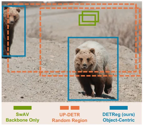 DETReg：利用区域先验进行无监督预训练以检测物体_detreg: unsupervised pretraining with region prior-CSDN博客