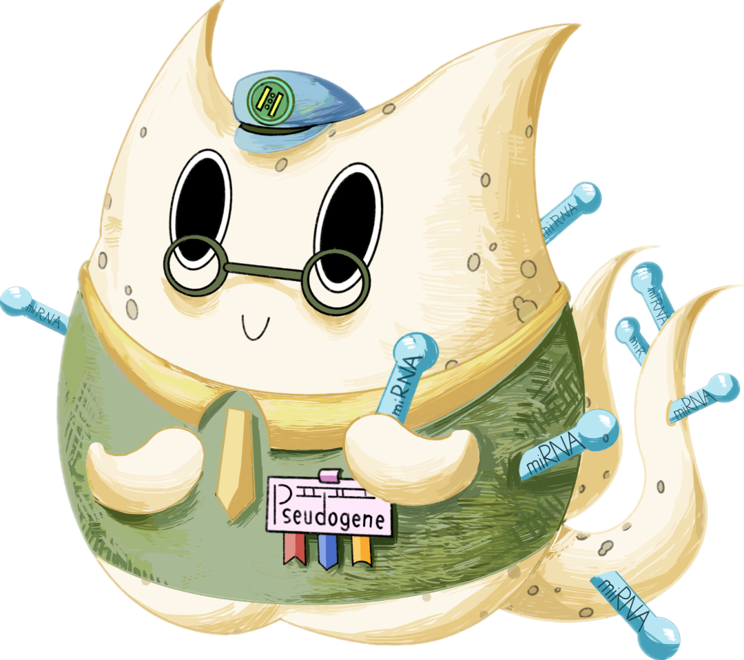 ceRNA！你是谁？为了谁？_cerna是啥-CSDN博客