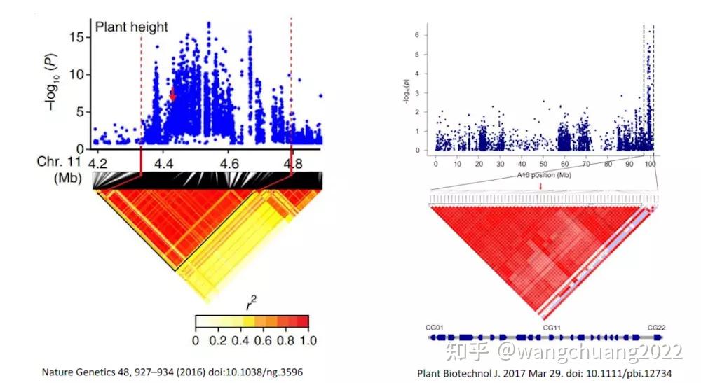 全基因组关联分析（GWAS）-统计方法与模型简介_gwas模型-CSDN博客