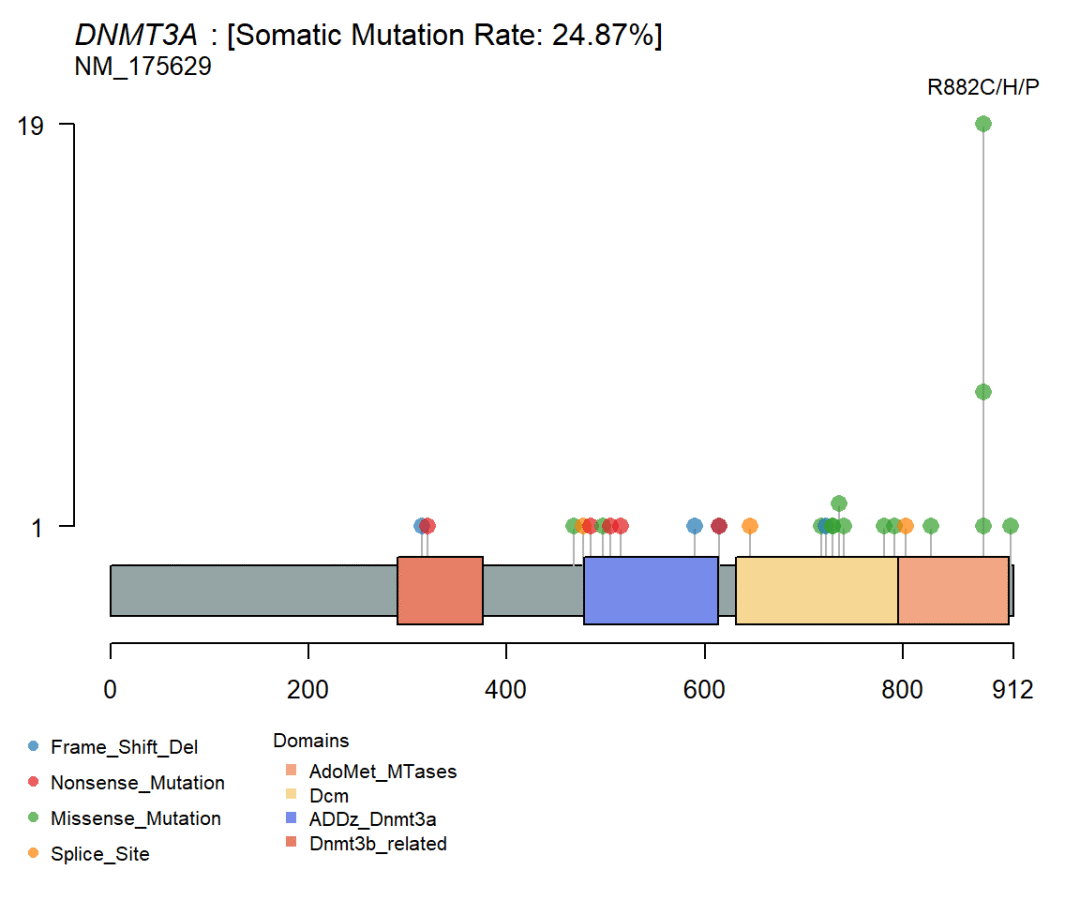 一文学会R包 maftools 简介使用-CSDN博客