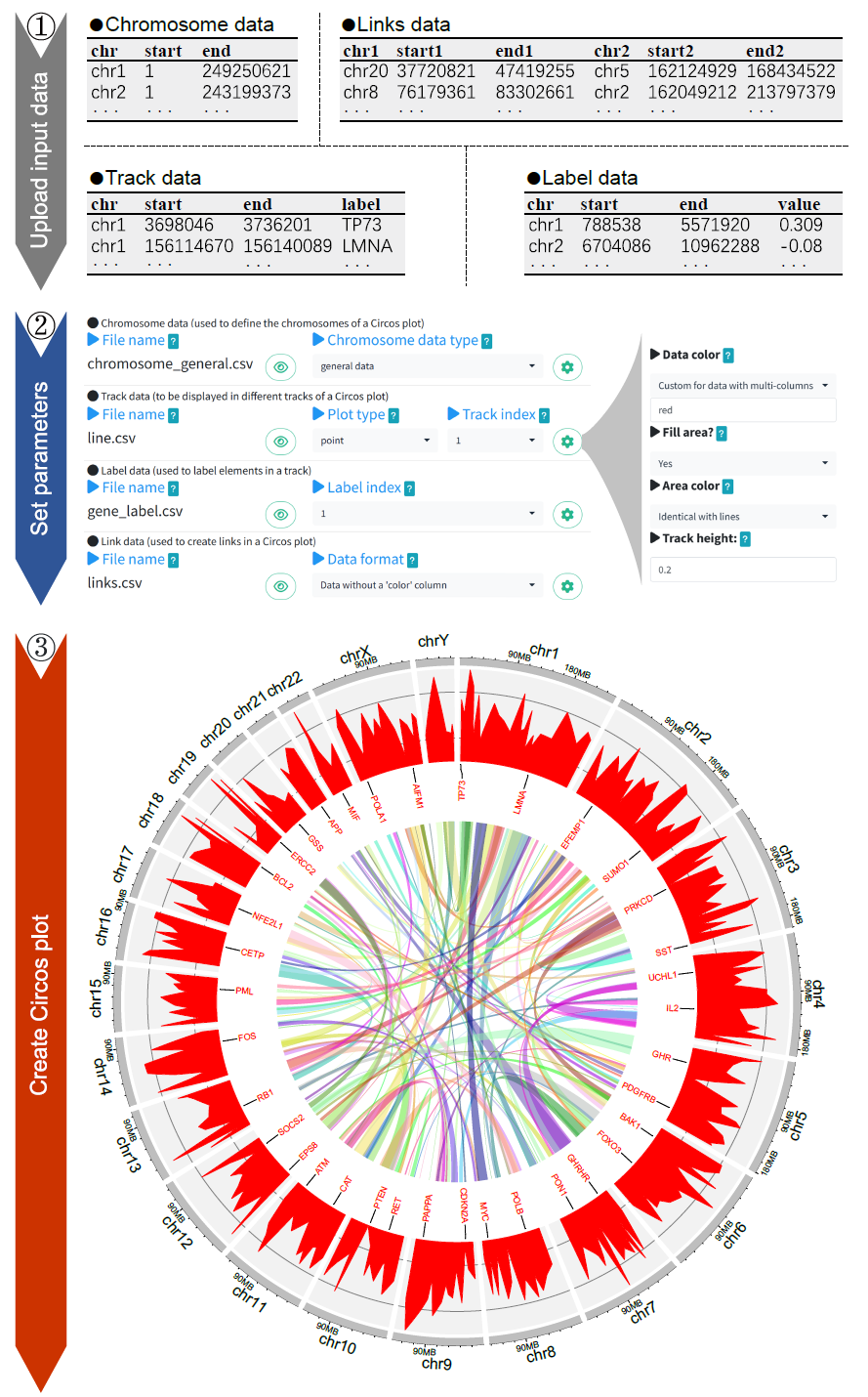 iMeta | 河南农业大学姚文组开发绘制Circos图的交互式Web应用程序_水稻snp密度circos图-CSDN博客