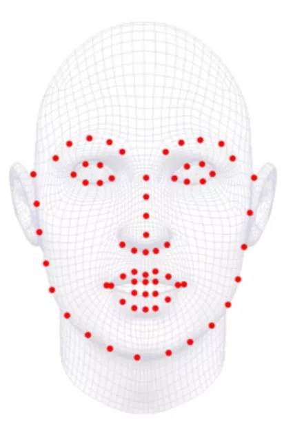 wflw数据集_人脸关键点检测的数据集与核心方法发展综述_weixin_39840235的博客-CSDN博客