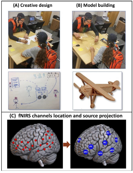 文献速递第4期：fNIRS的近期研究_fnirs is sensitive to leg activity in the primary ...