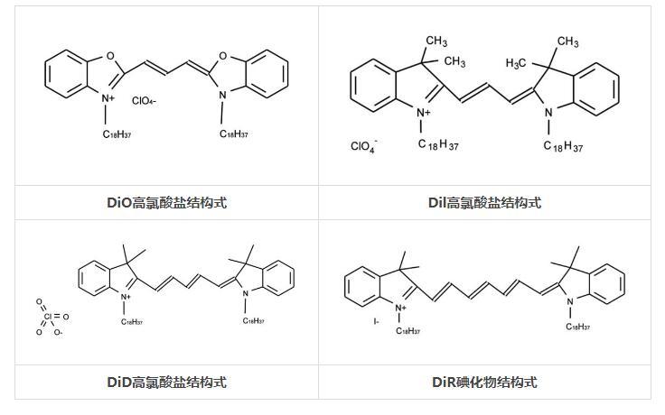 Di系列染料探针：DiO, Dil, DiR,Did，一类环境敏感型亲脂性膜染料，荧光强度显著增强_dio, did-CSDN博客
