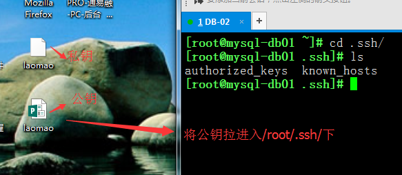 Xshell配置ssh免密码登录-密钥公钥(Public key)_ssh用户身份验证public key-CSDN博客