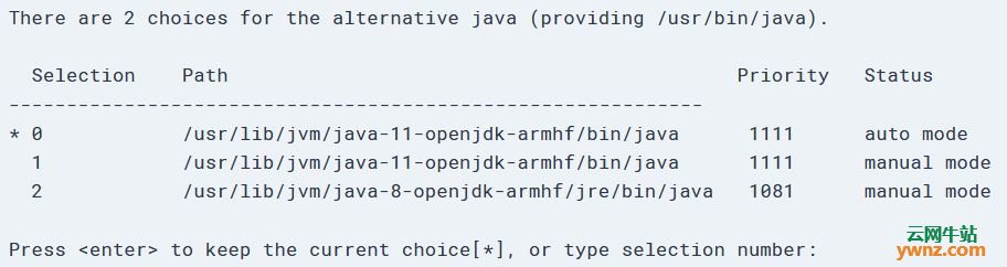 raspberry pi java8_Raspberry Pi上装Java 11和Java 8，及设置默认版本和JAVA_HOME环境变量...-CSDN博客