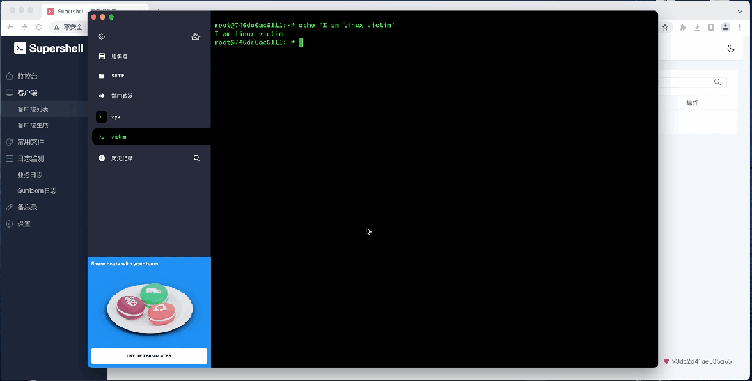 Supershel！基于Web的C2远控平台_什么是supershell-CSDN博客