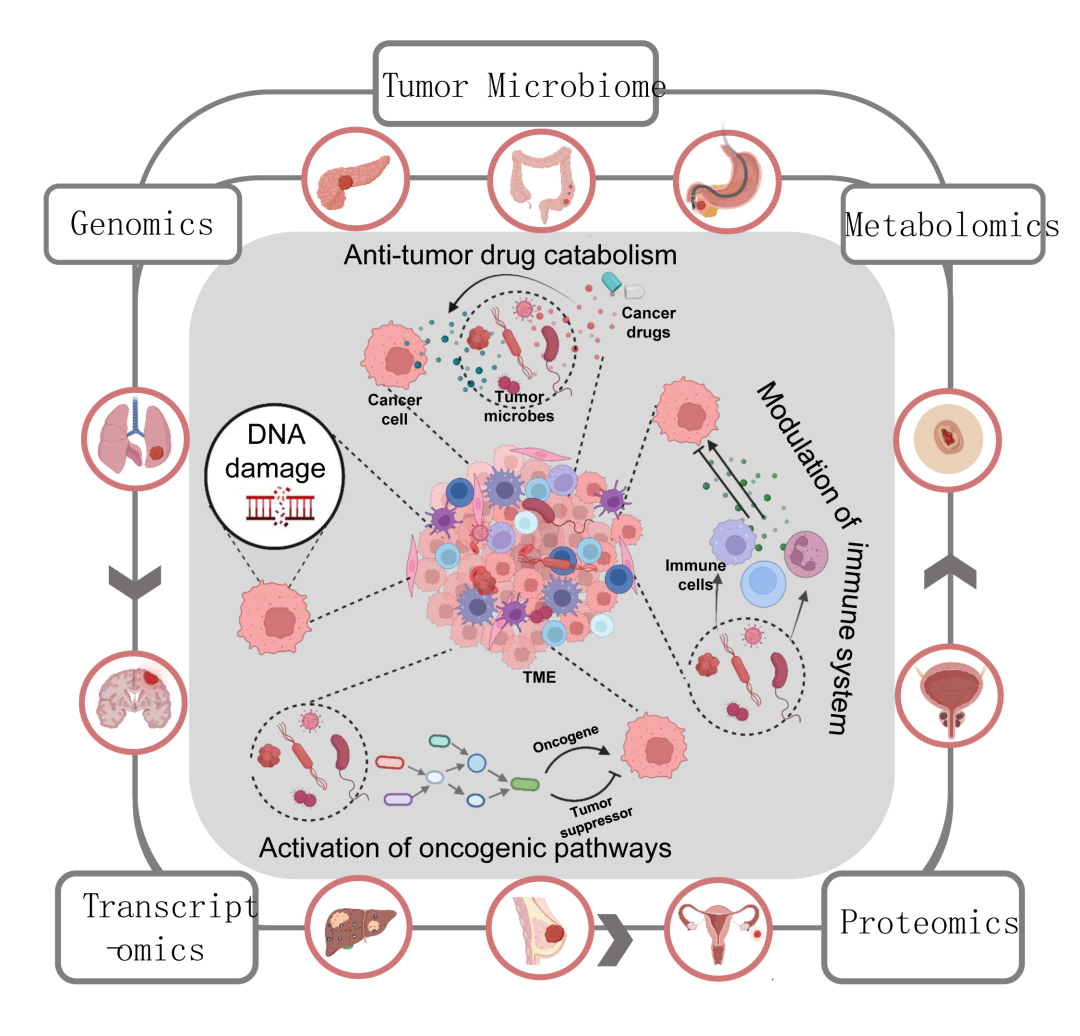 iMeta期刊第2卷第1期正式发布：包括来自13个国家的21篇文章-CSDN博客