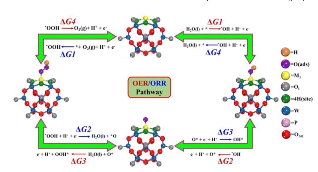 计算-JMCA：水分解和氧还原反应单原子电催化剂的计算筛选_her火山曲线图-CSDN博客