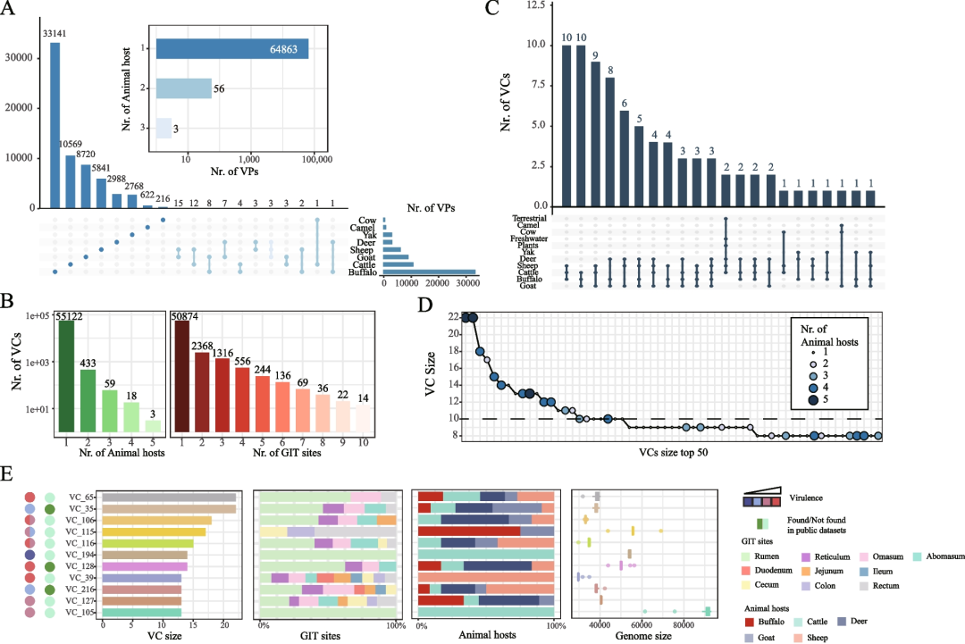 Microbiome | 华中科大陈卫华等构建URPC助力反刍动物胃肠道噬菌体综合研究-CSDN博客