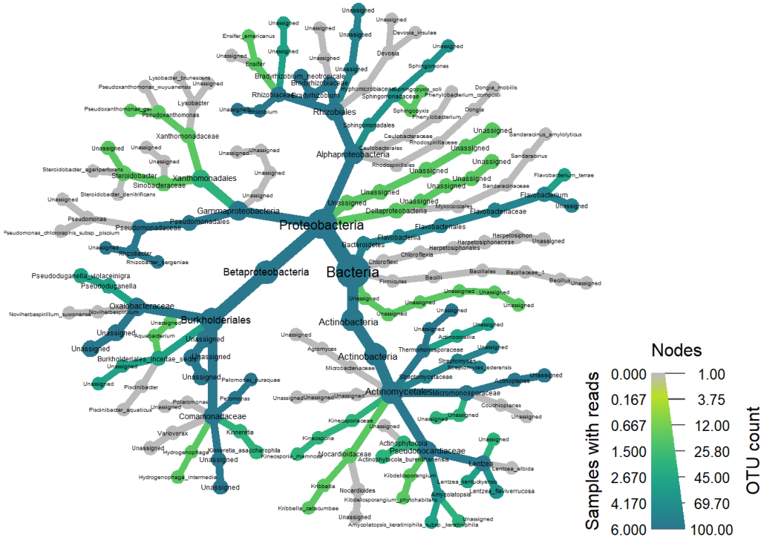 metacoder-相关进化树图的绘制于实践-CSDN博客