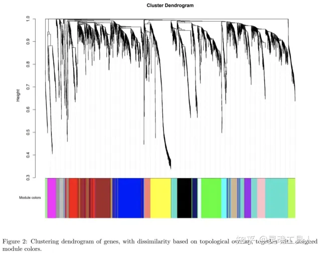 WGCNA那么多图，都啥意思？ 官网_grey模块-CSDN博客