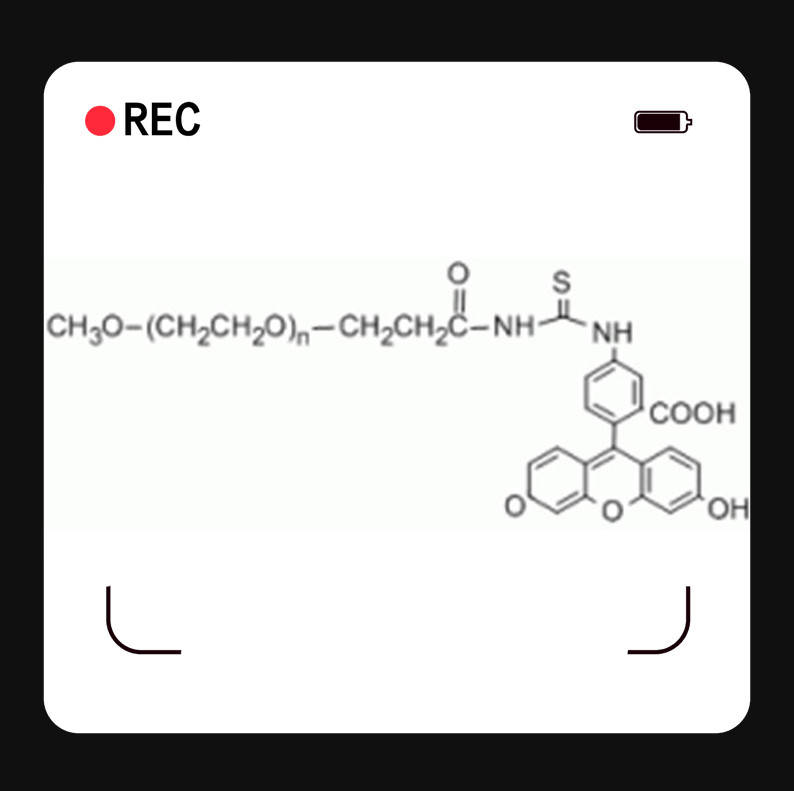 FITC-PEG-NHS，MW；1K，荧光标记神奇，带你解锁生物分子新世界-CSDN博客