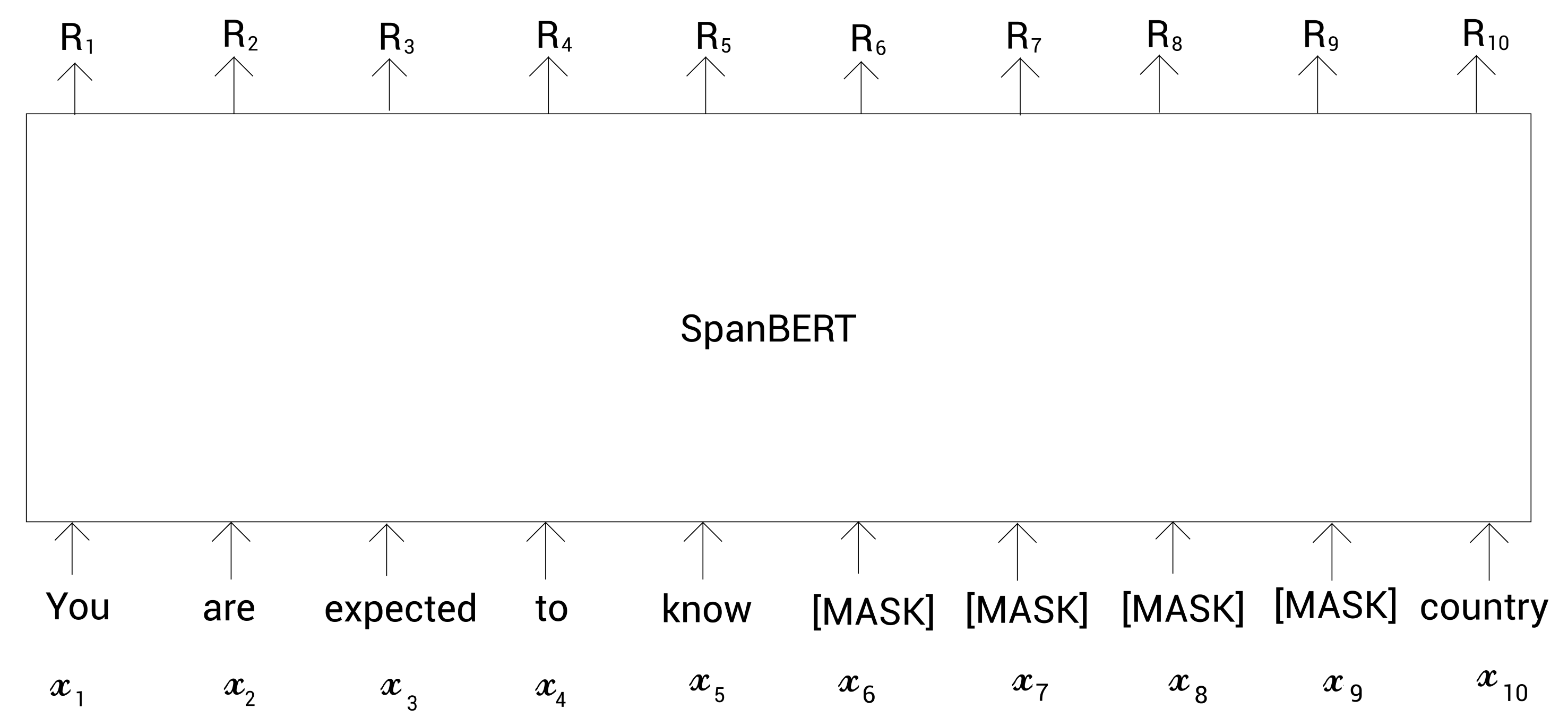 一起来学习BERT常见的几个变体_bert变体-CSDN博客