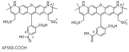 AF568 acid，1613725-54-4，Alexa Fluor 568 carboxylic acid，荧光亮，发光效率高，并且荧光在 ...