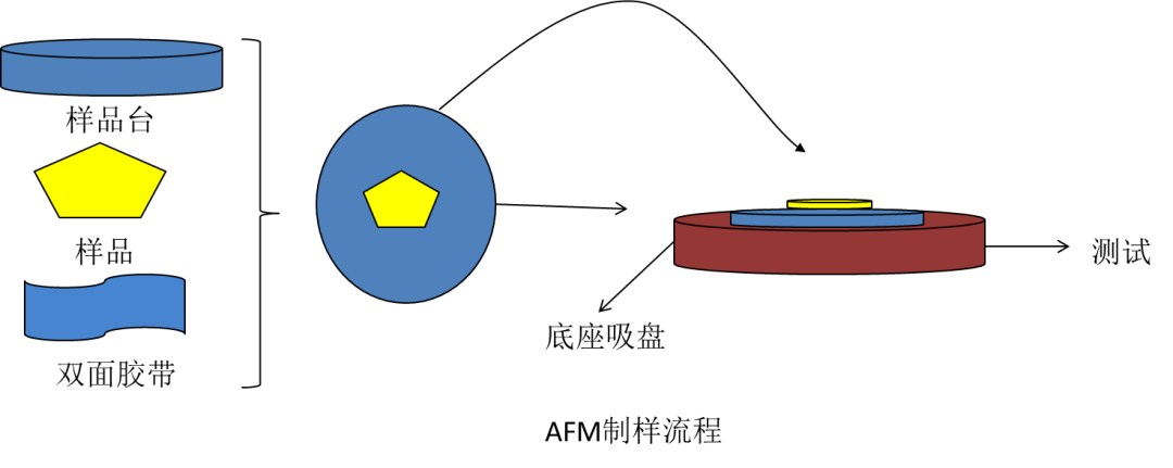 afm原子力分析软件_一文看懂原子力显微镜(AFM)-CSDN博客