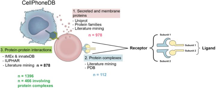 玩转单细胞高级分析 | 细胞通讯分析篇-CSDN博客
