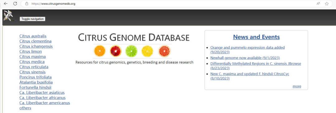 干货|10种重要作物基因组数据库_rapdb-CSDN博客