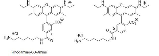 6 Rhodamine 6G amine，氨基罗丹明6G，产品含氨基官能团，可和羧酸等官能团反应-CSDN博客