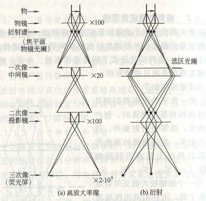 从原理到实践 如何拍出高质量TEM照片_拍摄tem图像-CSDN博客