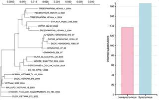 基于 phylotree.js 基因进化树可视化图谱（gene-tree）-CSDN博客