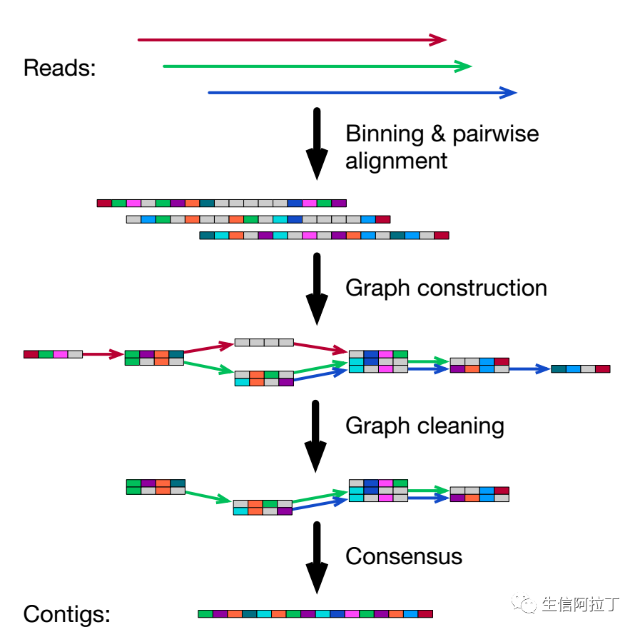 三代组装软件简介_canu组装-CSDN博客