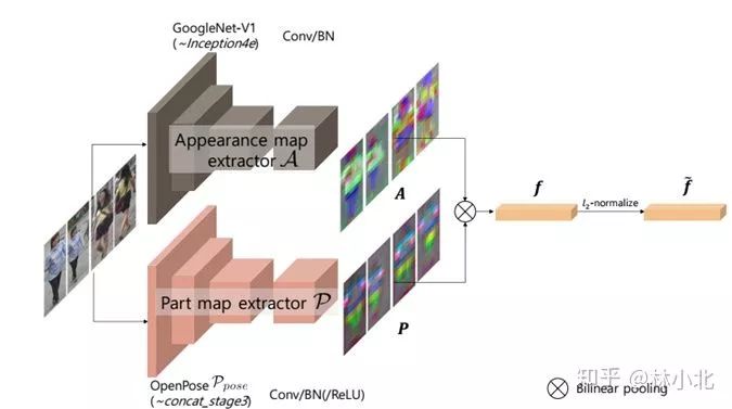 双线性池化（Bilinear Pooling）详解、改进及应用-CSDN博客