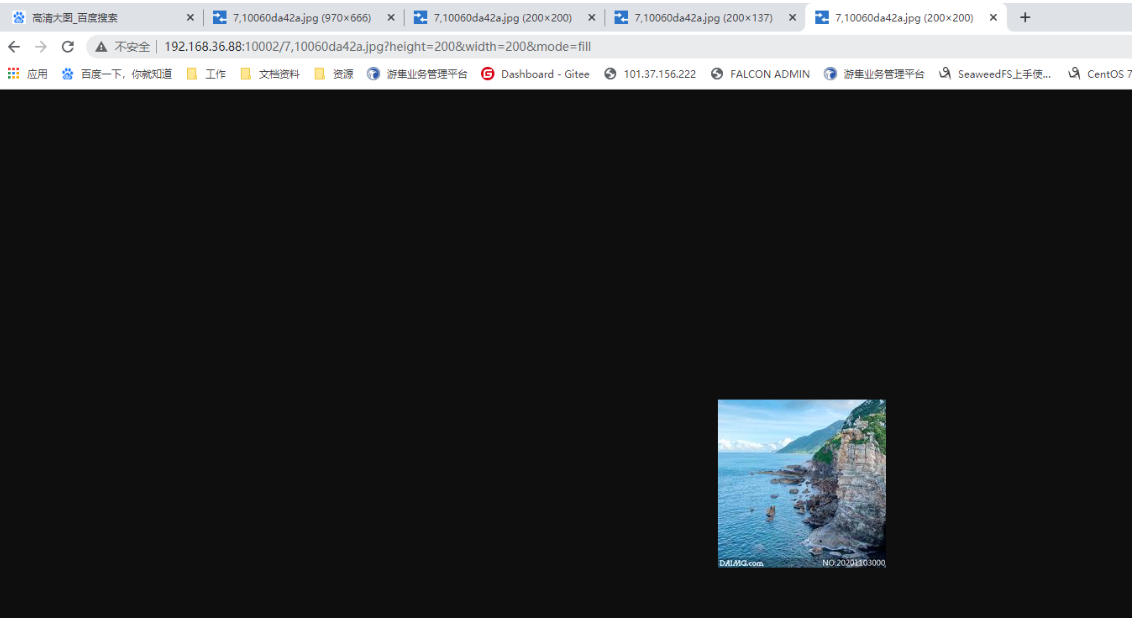 SeaWeedfs 部署+入门_seaweedfs初始化存储节点-CSDN博客