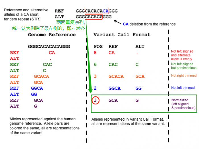 VCF | 多等位基因位点如何拆分？InDel变异如何标准化？-CSDN博客