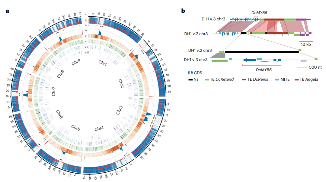 nature plants|Gwas分析揭秘胡萝卜独特橙色表型-CSDN博客