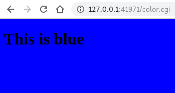 Tiny Httpd代码分析1-CSDN博客