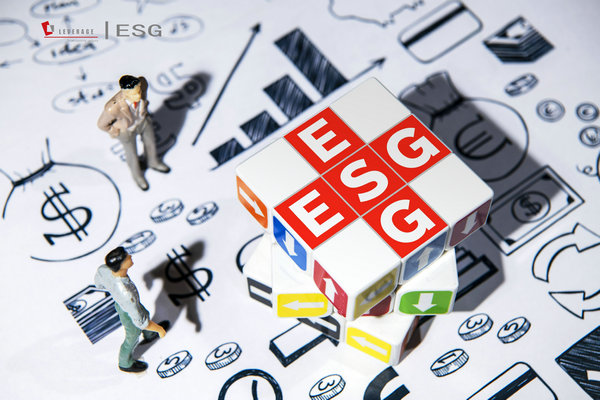 优化ESG投资策略，提升企业形象和声誉，促进企业创新和转型_识别相关esg因素:首先,需要确定哪些esg因素对企业或投资决策具有显著影响。这包括-CSDN博客