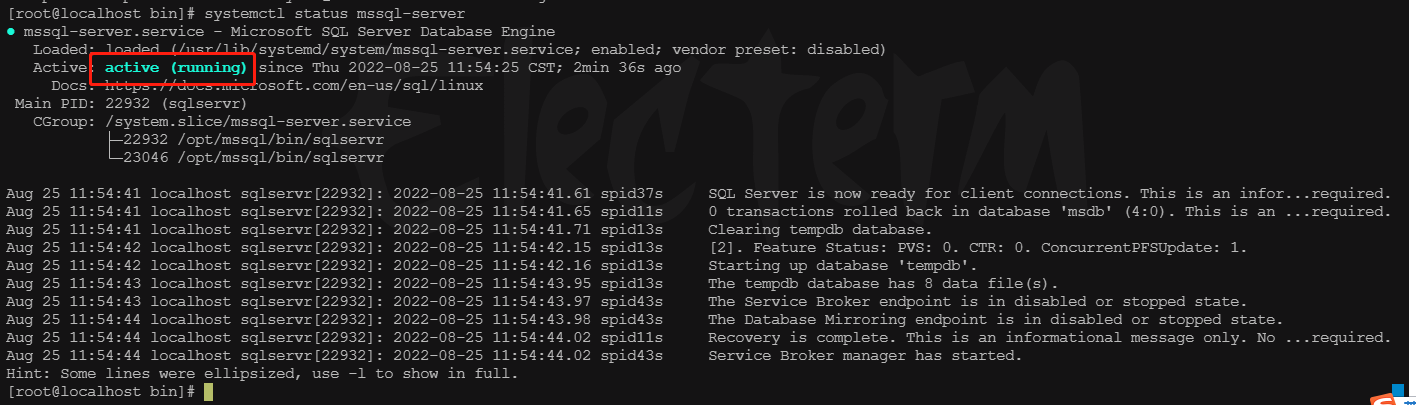 linux 安装SQL Server 2019_linux 安装sql server2019 脱机安装-CSDN博客