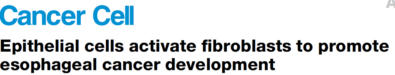 专栏五：食管癌Cancer Cell文章生信部分解析_epithelial cells activate fibroblasts to promote e-CSDN博客