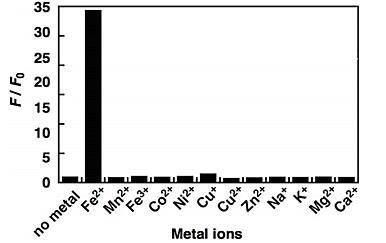FeRhoNox-1 (Fe2+ indicator)亚铁离子荧光探针，FeRhoNox-1，FerroOrange，Labile ...