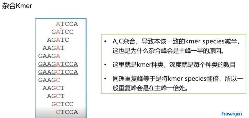 Kmer评估基因组-CSDN博客