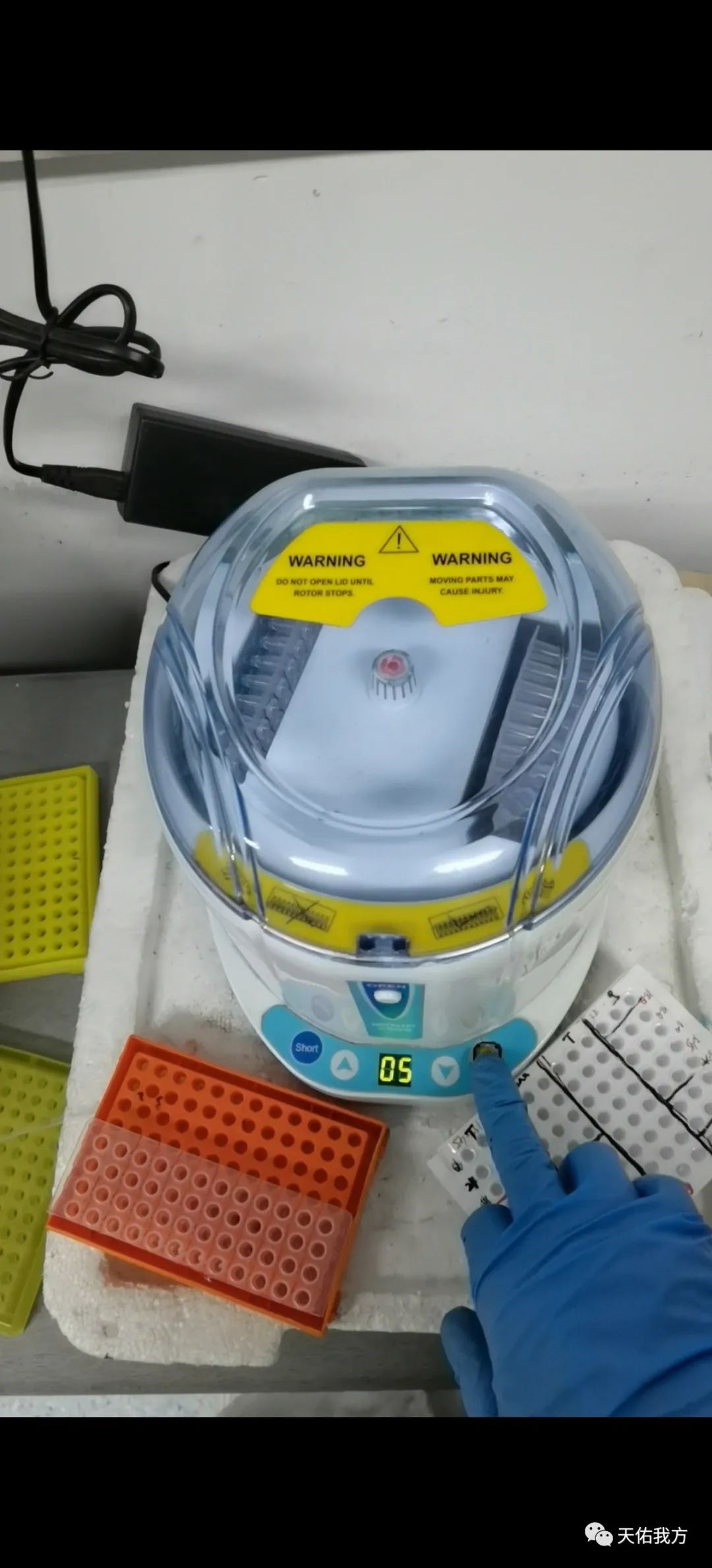 ctab提取dna流程图_CTAB法提取DNA，pcr扩增，聚丙烯酰胺凝胶电泳-CSDN博客