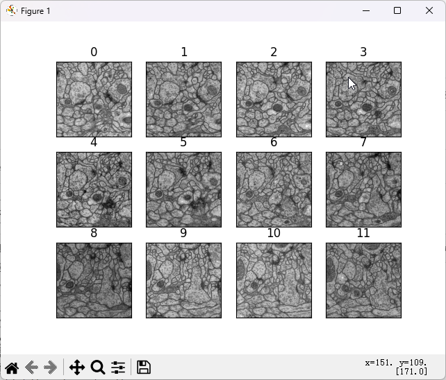 MindSpore社区活动：UNet-2D的图像分割_2dunet是干什么的-CSDN博客
