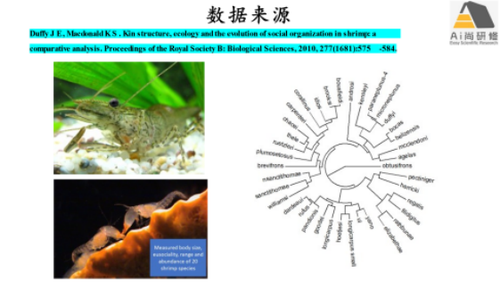 R语言结构方程模型（SEM）在生态学领域中的实践_结构方程模型和matel检验-CSDN博客