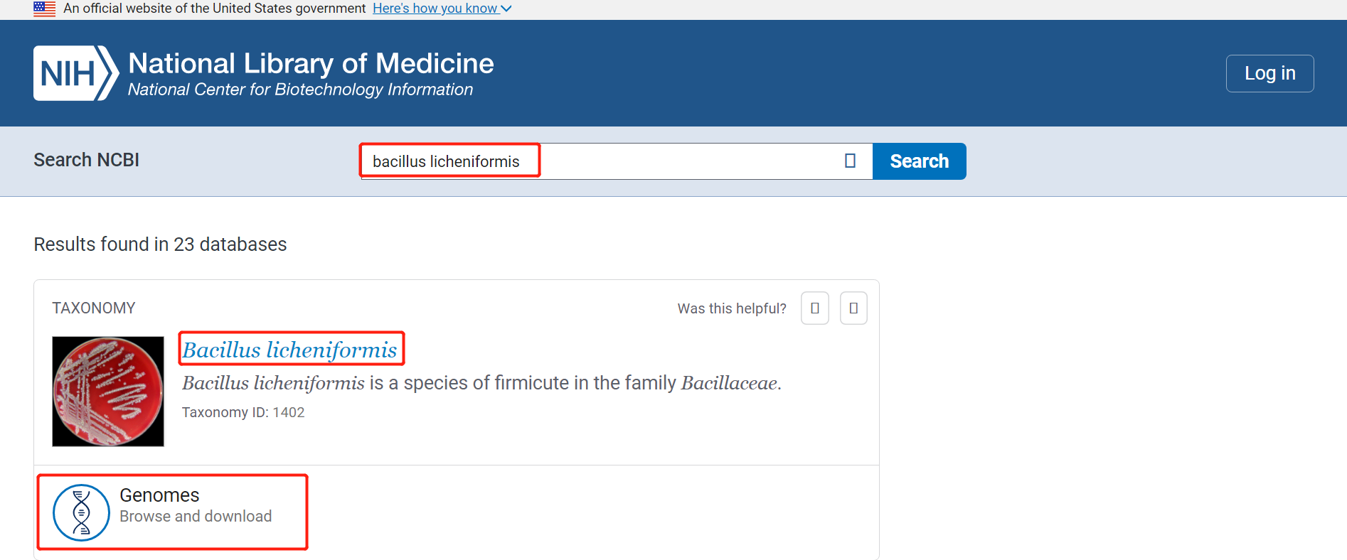Roary从安装到分析（Ubuntu+conda）-CSDN博客