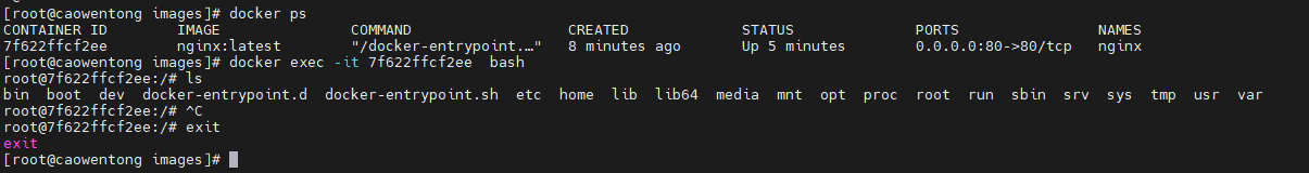 Linux[Centos7]安装Docker_centos 7 安装 docker-CSDN博客