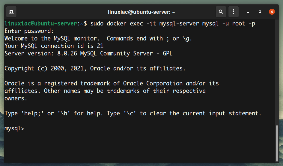 如何在 Docker 容器中运行 MySQL_docker run mysql-CSDN博客