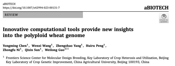 一作解读 | aBIOTECH综述-原创算法驱动多倍体小麦复杂基因组解析-CSDN博客