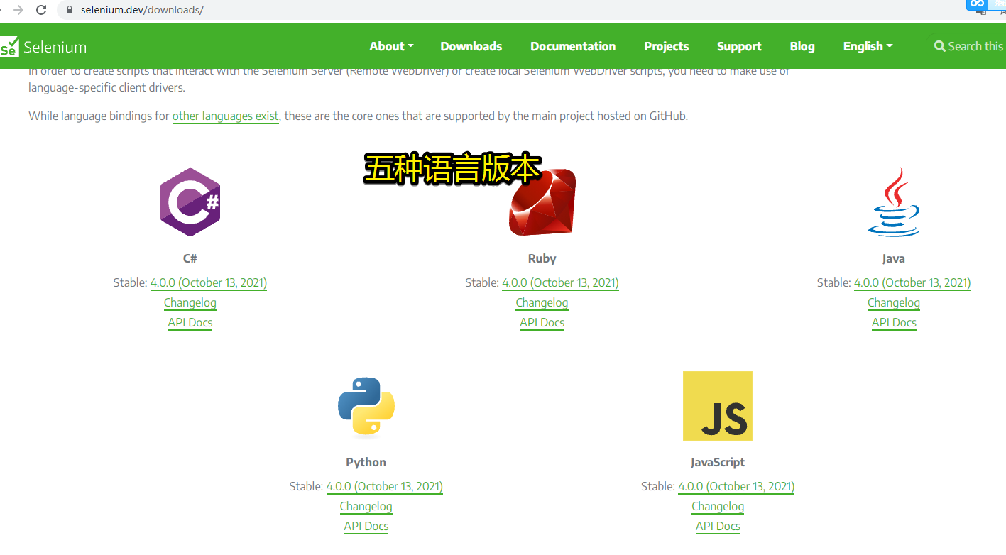 selenium 4 release版发布，新特性介绍-CSDN博客