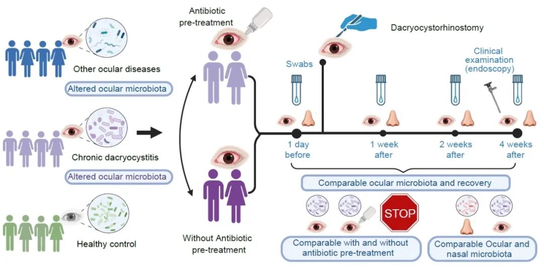 iMetaOmics期刊 第1卷第1期 在线正式发布-CSDN博客