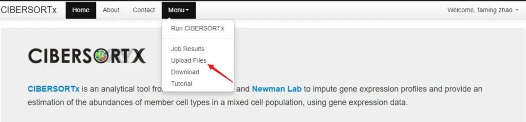 Cibersort免疫浸润的在线分析及R语言代码实现-CSDN博客